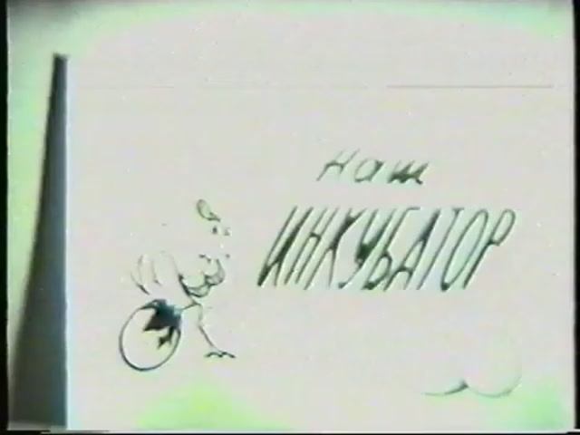 Усть-Омчуг 80х: Наш инкубатор.avi