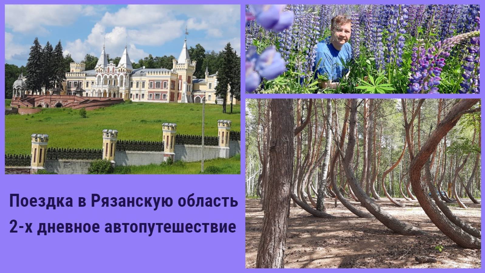 Наше путешествие. Поездка выходного дня. Рязанская область.