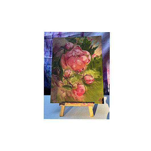 Картина масло:Пионы. Размеры:30 см x 40 см