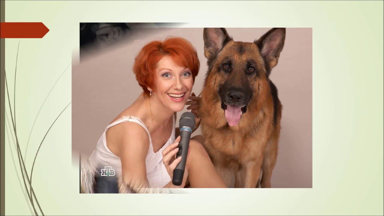 ЯКСК  ДИ  АЛЕРТАЛ