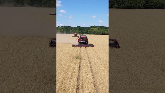 Комбайны ГОМСЕЛЬМАШ | эпизод 4