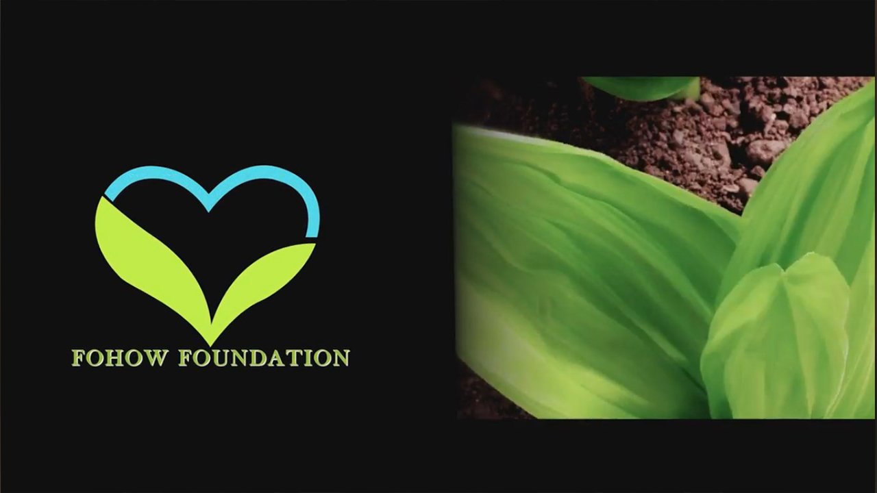 Благотворительность компании Fohow (Феникс)