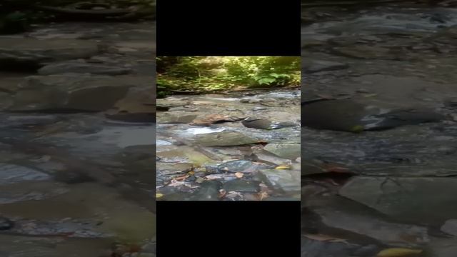 водопад  ? журчание воды успокаивает