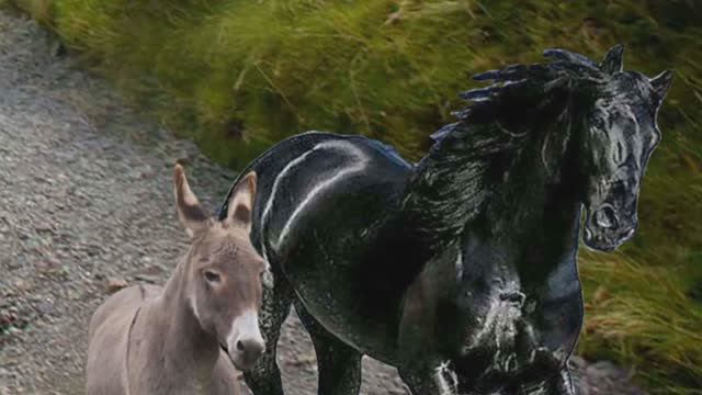 Осёл и конь. Басня - Е.Доставалов, озвучка и видео - И.Жемчугов