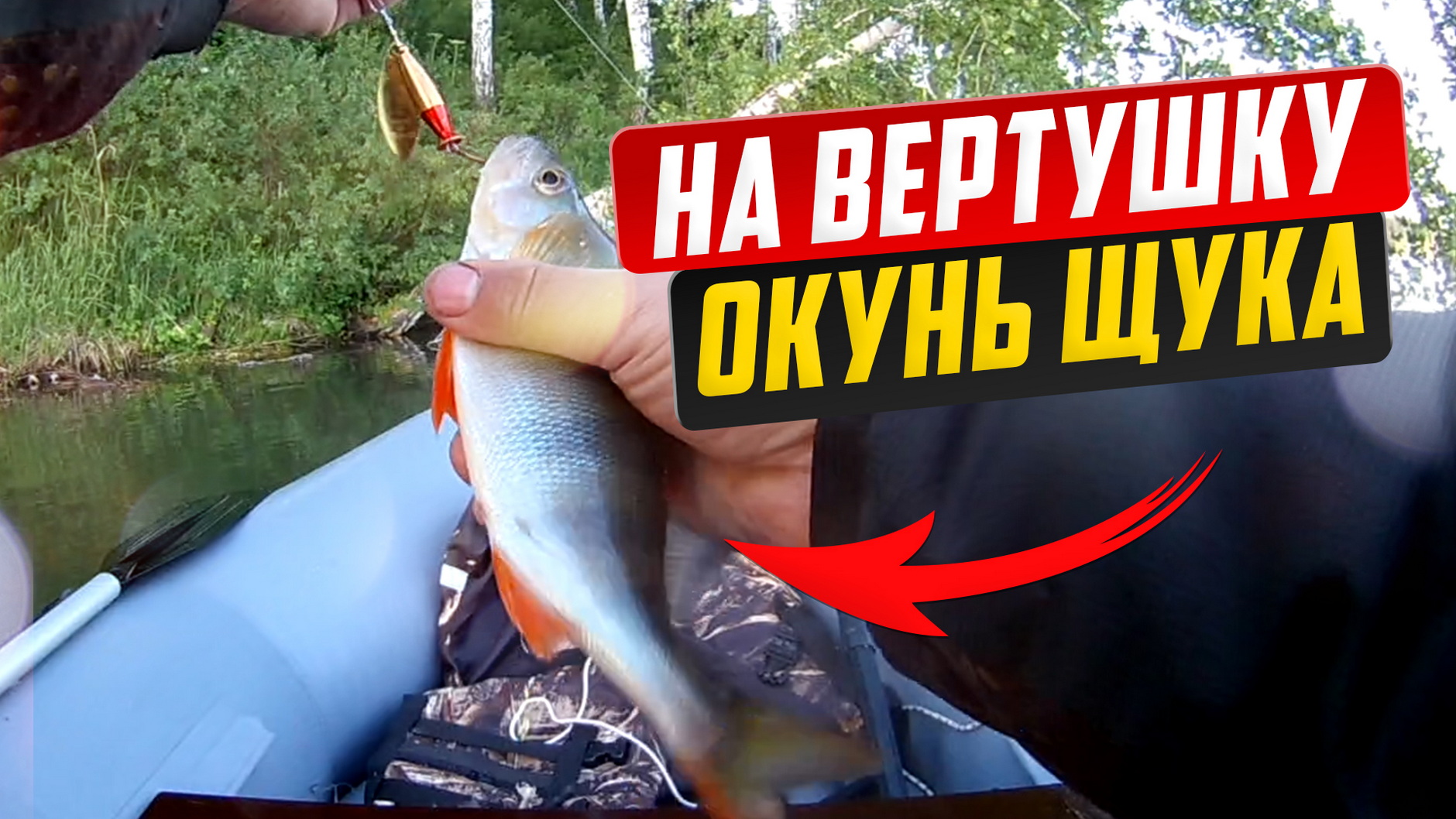 Щука и окунь на вертушку Mepps, первая охота на хищника!
