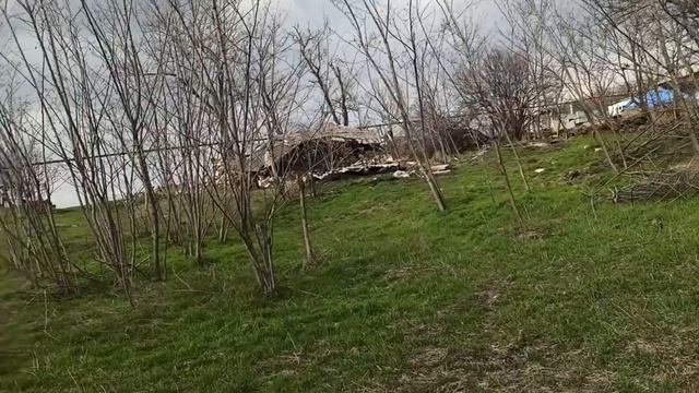 Заброшенный участок 15 соток,разрушенный дом на юге.С чего начать_.mp4