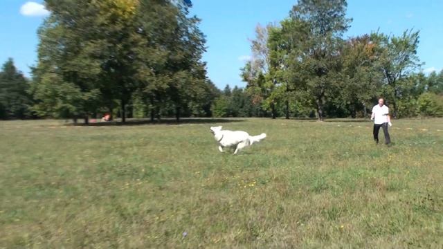 Frisbee Freestyle Светлана и Космос.mp4