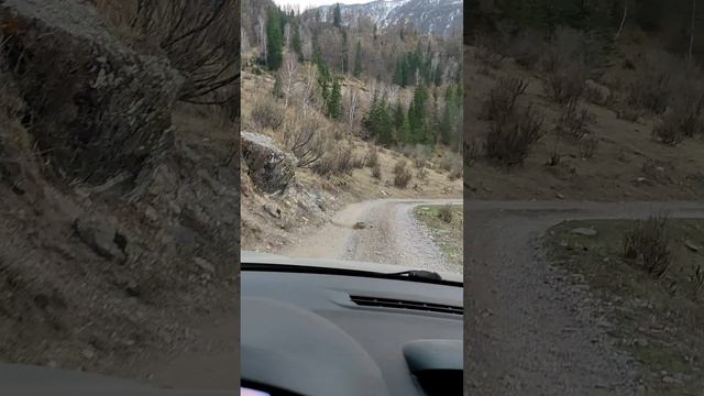 К Чибитской поляне.