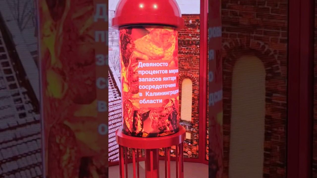 ВДНХ Калининград-столица янтаря #пешкомпомиру #пешкомпогороду #пешкомпомоскве #пешкомпороссии #ВДНХ