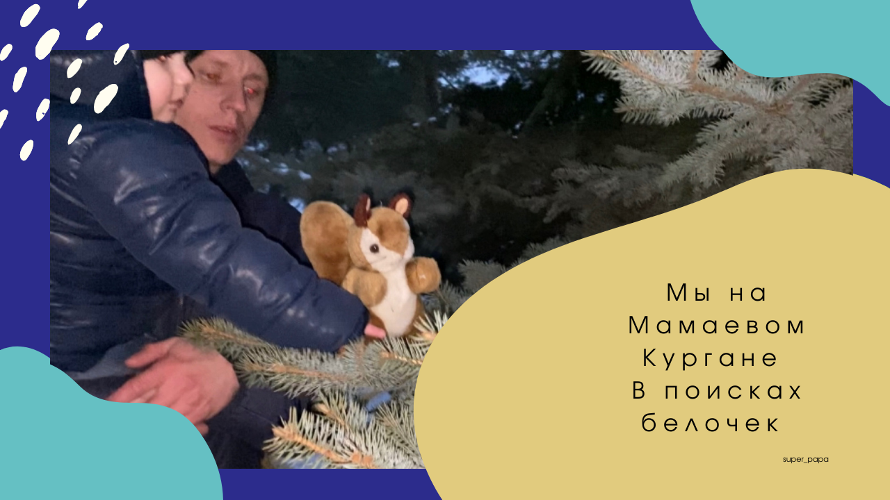 Мы на Мамаевом Кургане в поисках настоящих белочек