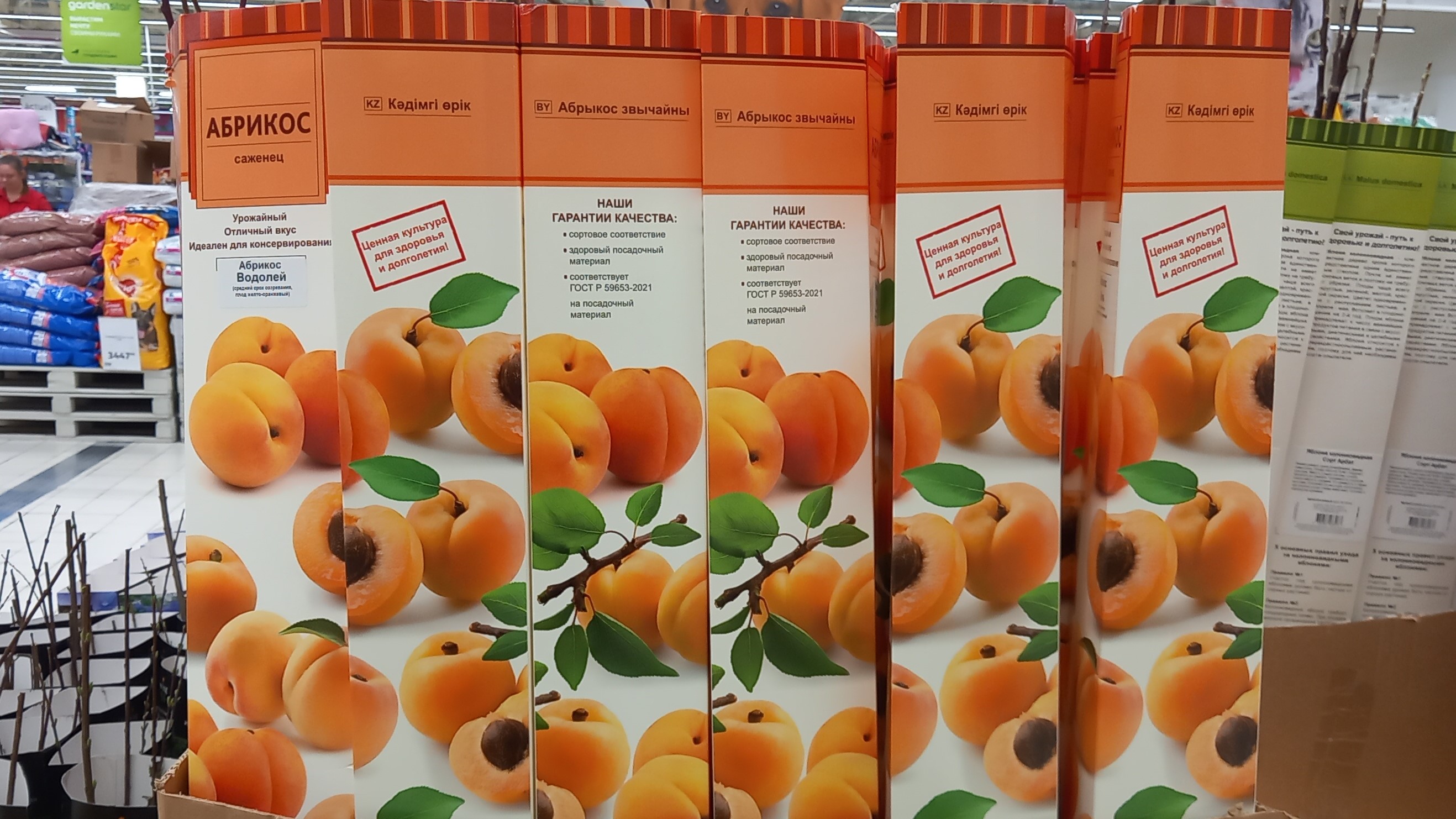 АШАН! А ВЫ УЖЕ КУПИЛИ САЖЕНЕЦ АБРИКОСА?