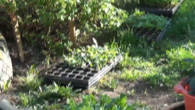 Все видео_Стеллаж для рассады часть 3.mp4