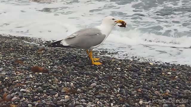 Ялта-23. 3 серия .mp4