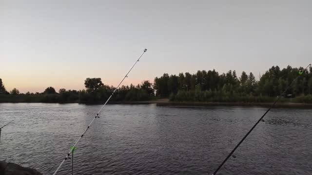 Рыбалка и клëв в селе Царев, река Ахтуба и друзья