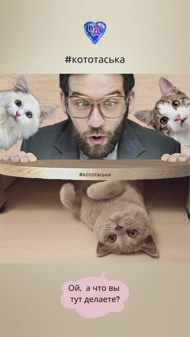 Кототаська сериал