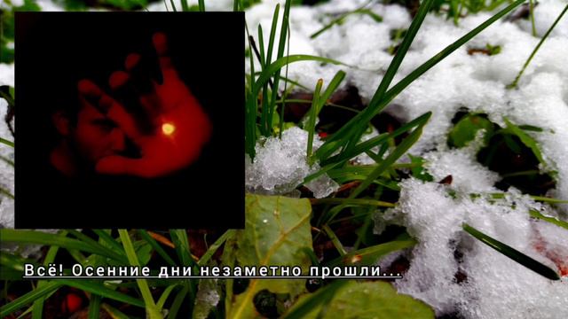 Мои стихи - Зима постучалась тихонько в окно!