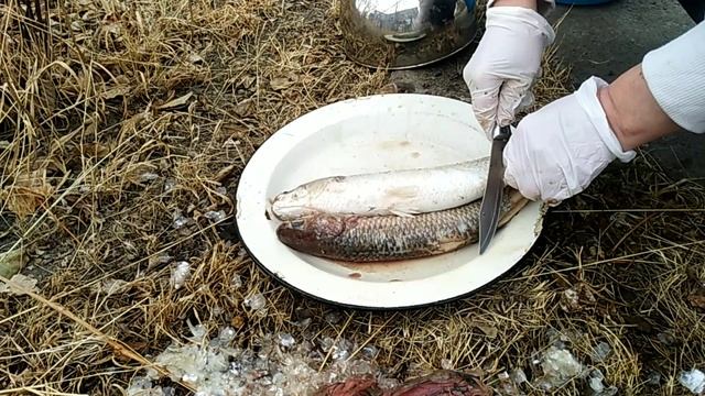 Чистим рыбу без хлопот🐟🐟🐟