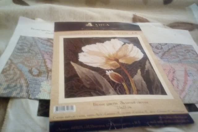 Финиш проекта / за 60 дней 19044 крестиков / Алиса "Белые цветы. Залитые светом" отчет 22