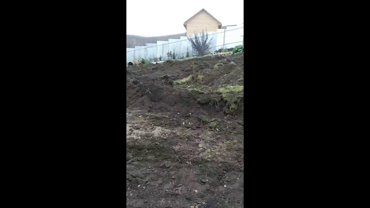 Экскурсия по участку, перекопали все, что могли