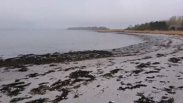 Ватты. Гюллингнэс (Vade, Gyllingnæs), фьорд Хорсенс, Дания. 4 мар. 2022  Дания