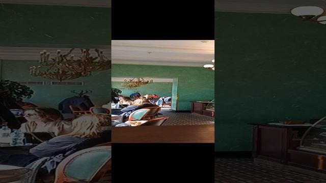 Кафе Зингер  Книжный магазин Спб Питер