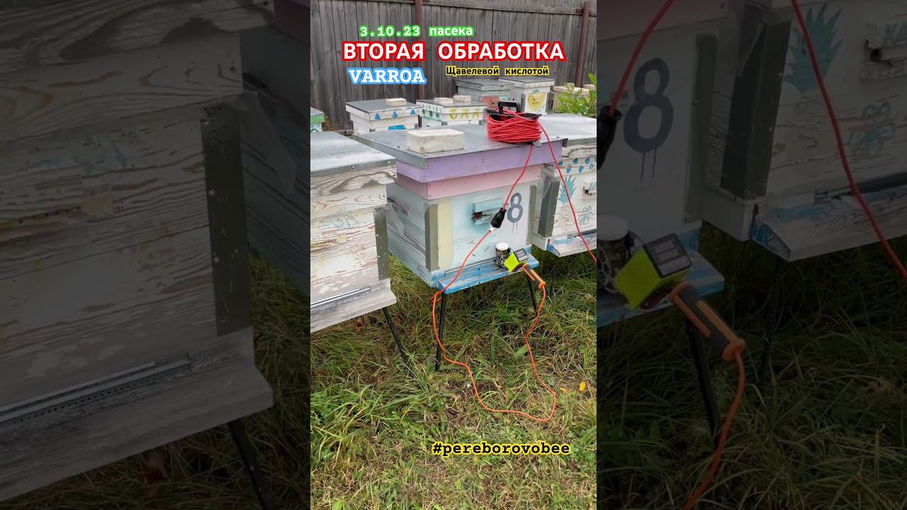 Обработка щавелевой кислотой! ПАСЕКА! #pereborovobee #пасека #пчеловодство #улей #varroa