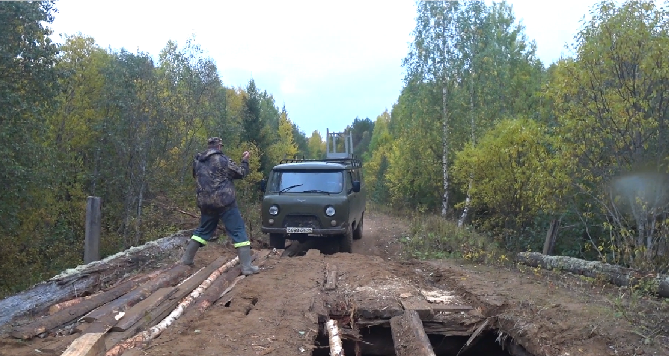 ТАЙГУ пилят,рубят!Лоси бегут!Лесные дороги скоро в асфальт закатают!Но все равно лес нас кормит!