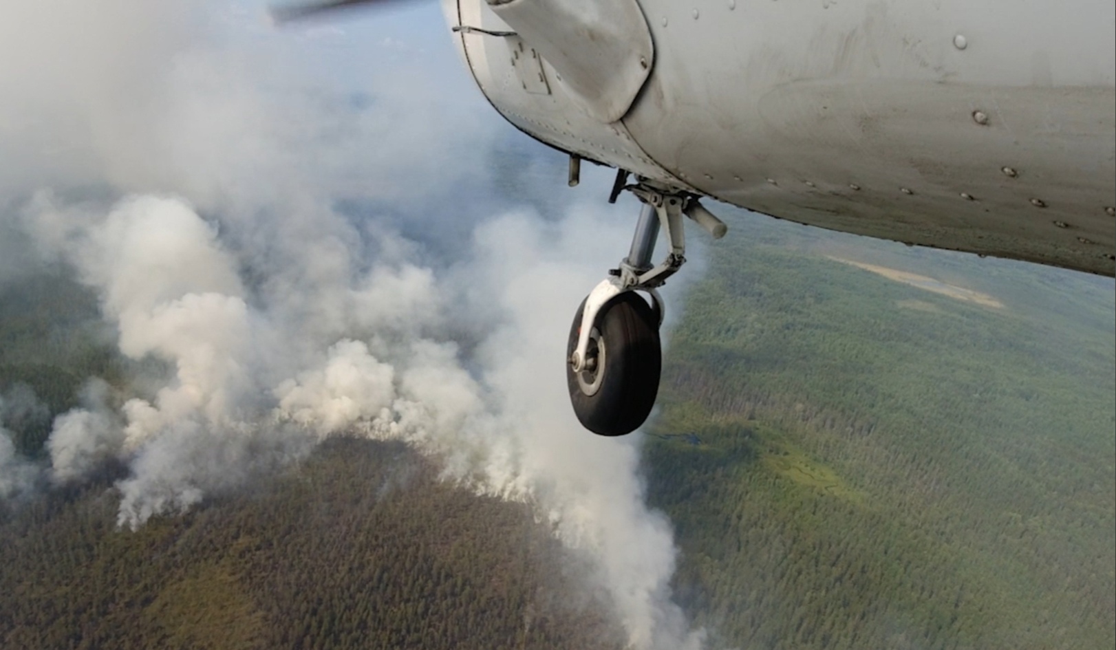 В Карелии могут воссоздать Северо-Западную авиационную базу охраны лесов
