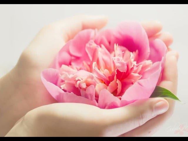 Медитация "Цветок Души"  В 26 Лунные Сутки