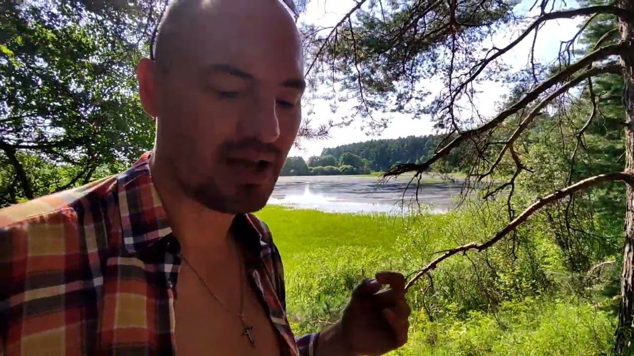 Алексей Кольчугин. Роза Ветров. Глава XX. "Больше, больше наркотика одиночества..."