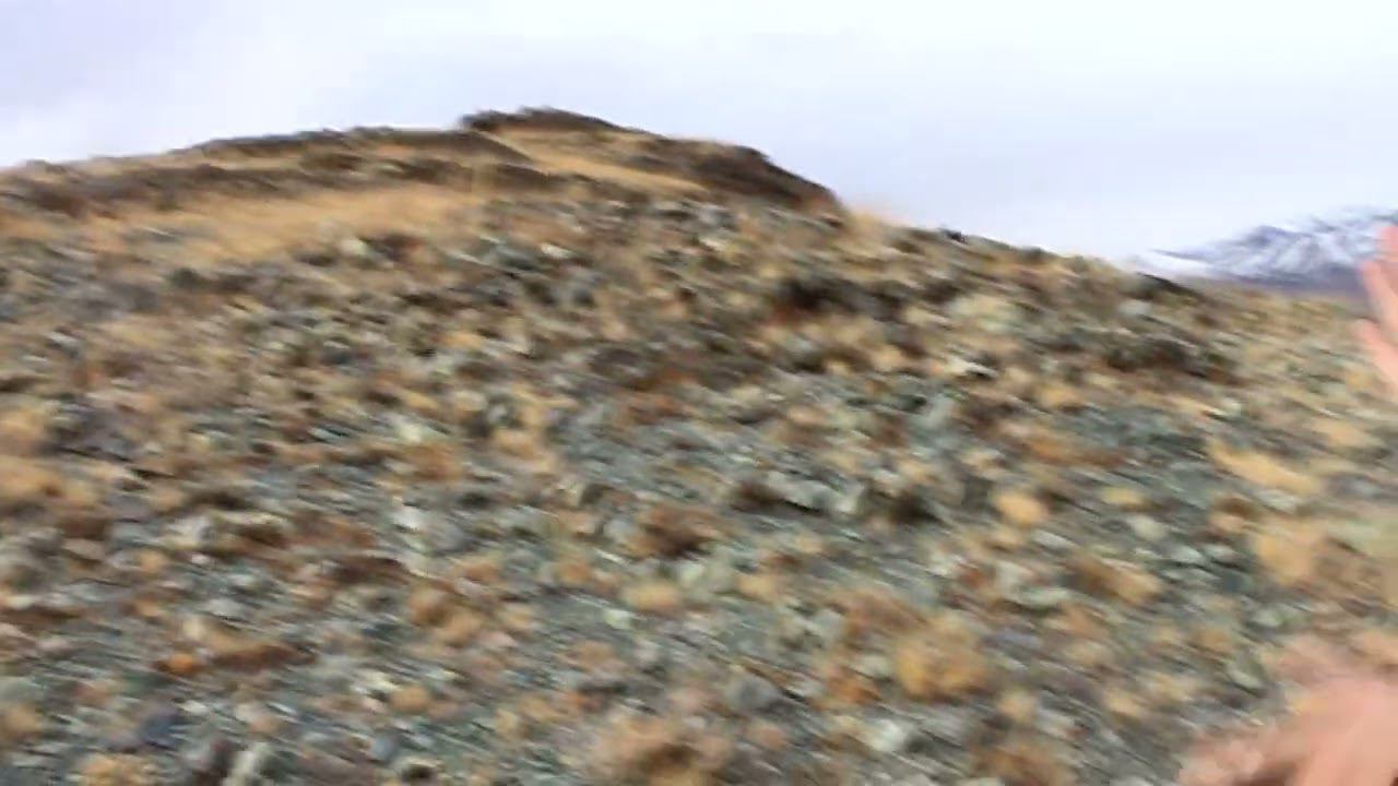 Геологические прогулки. Чибитский прорыв, Тялбак-Таш, Курай