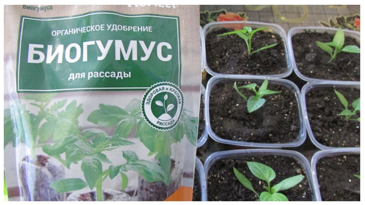 ФИКСПРАЙС НАМ В ПОМОЩЬ!!! ПОДКОРМКА ПЕРЦАМ И НЕ ТОЛЬКО!!!