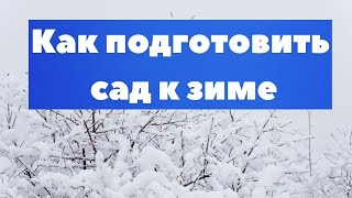 Подготовка сада к зиме