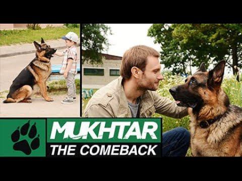 ⚡️ Камбэк всех камбэков!