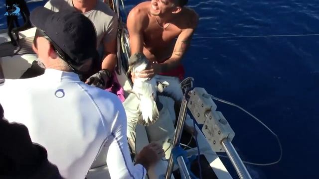 Неудачная рыбалка