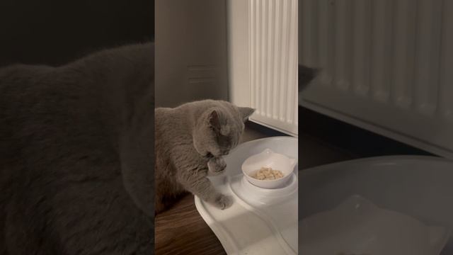 Хорошее воспитание