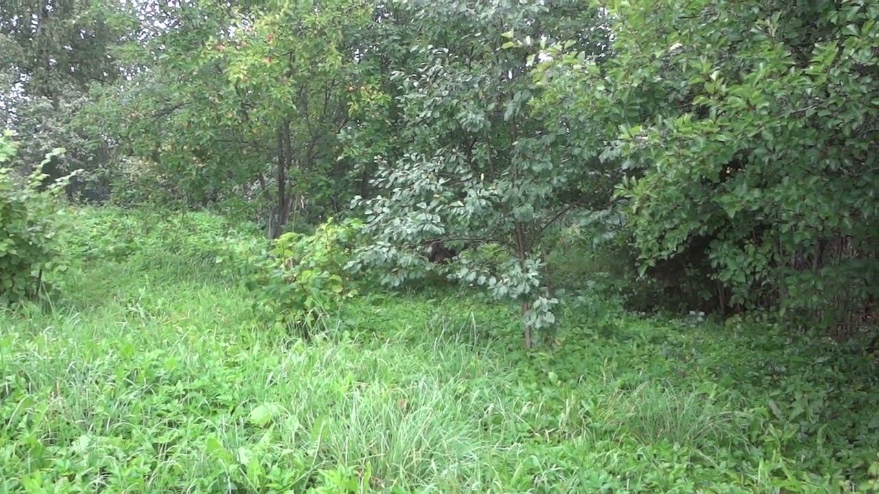 Нудный дождь