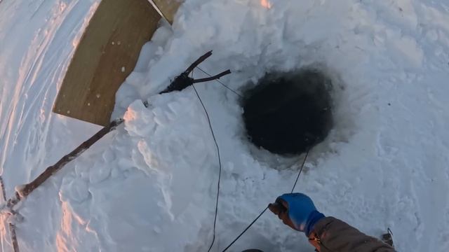 Ловля сига и проверка перемета на налима!