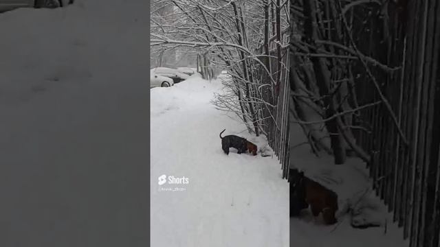 Первый рабочий день года — отличное время для практики Принятия 😉 #моибудни