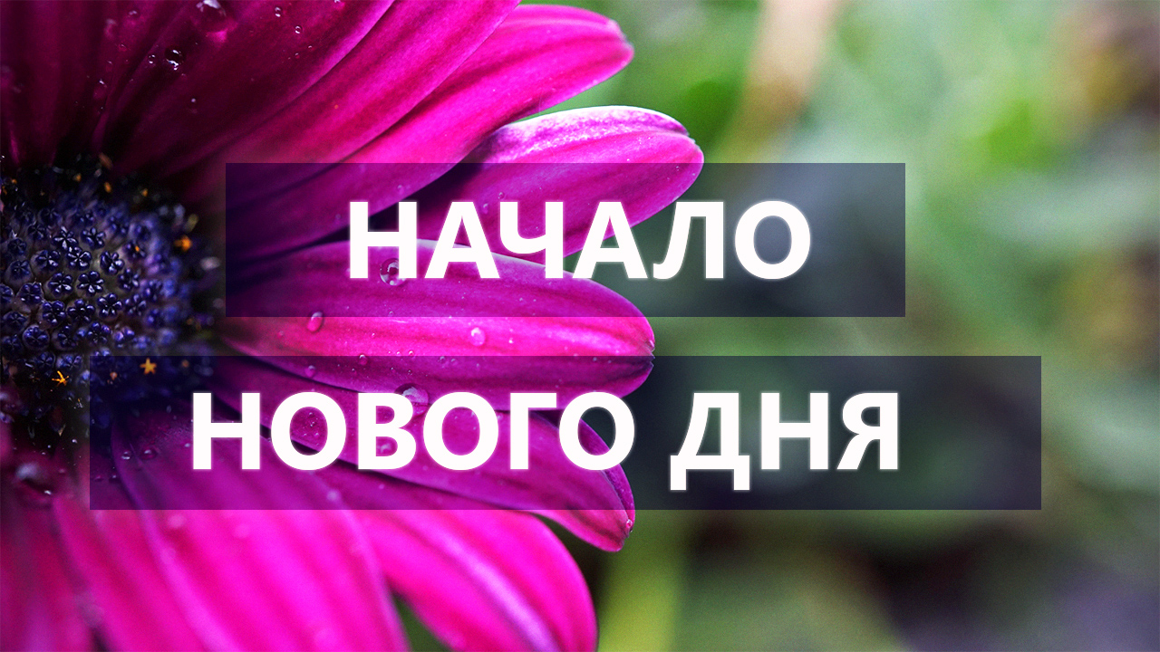 Утренняя медитация. Начало нового дня