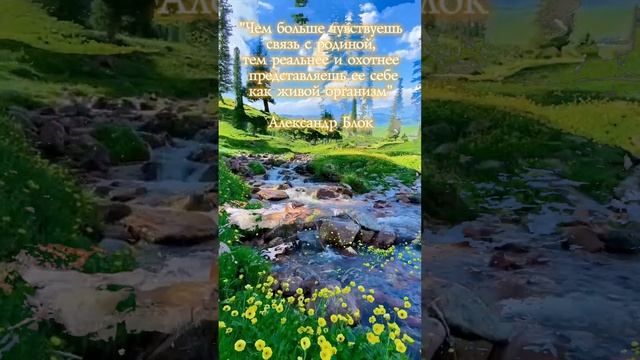 Мудрые мысли великих о Родине