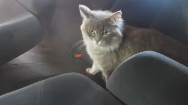 Как снять потолок на VW Пассат Б5