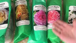 Как сохранить розы из коробки?100% способы сохранения,о которых вы не знали.mp4