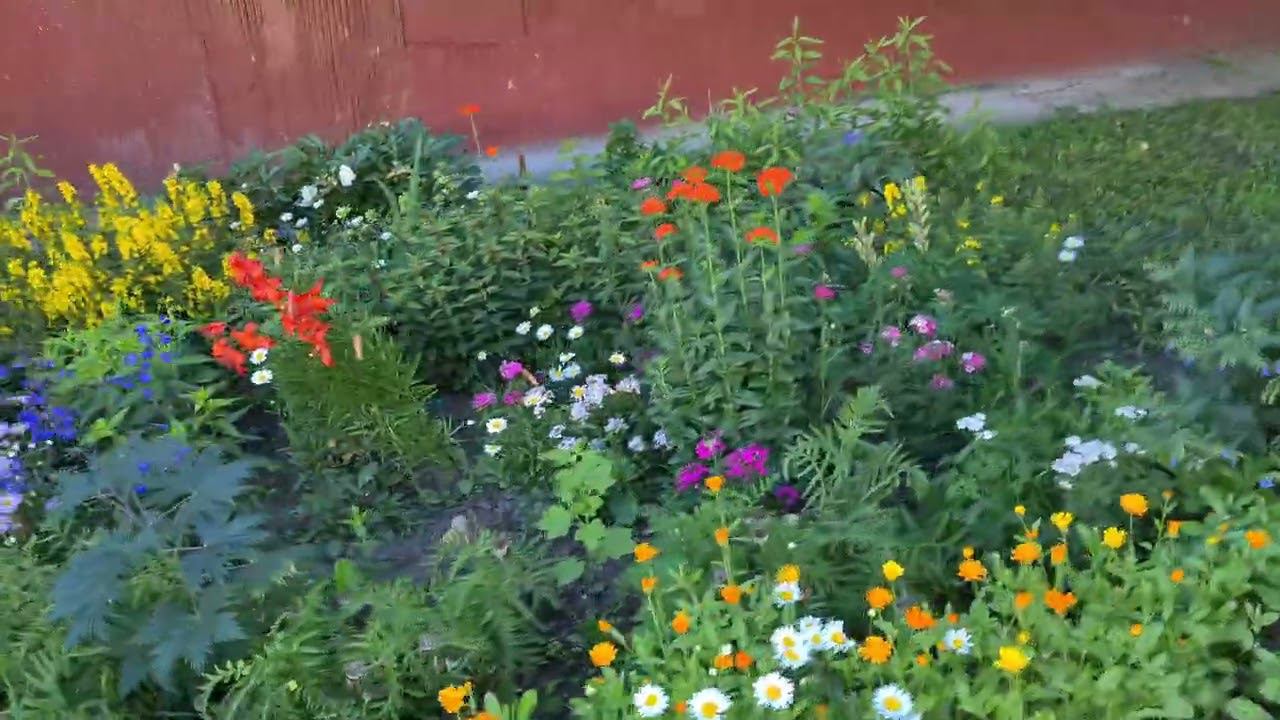 Сибирские просторы. Гуляем по Северску #150