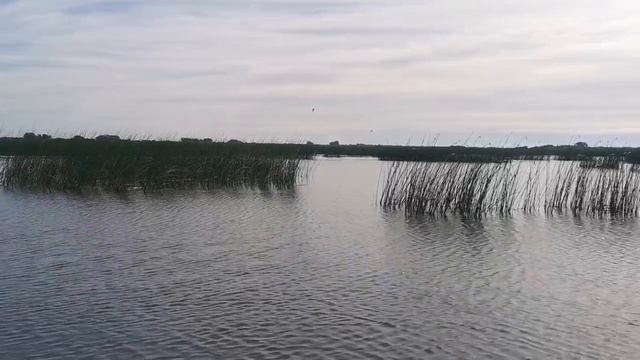 Окуневый котёл или чаёвник.