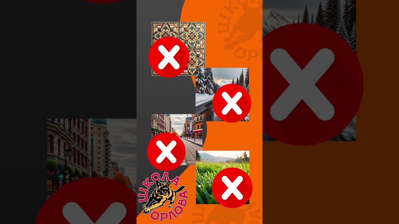 Как играть с собакой, чтобы не попасть в ветеринарную клинику?