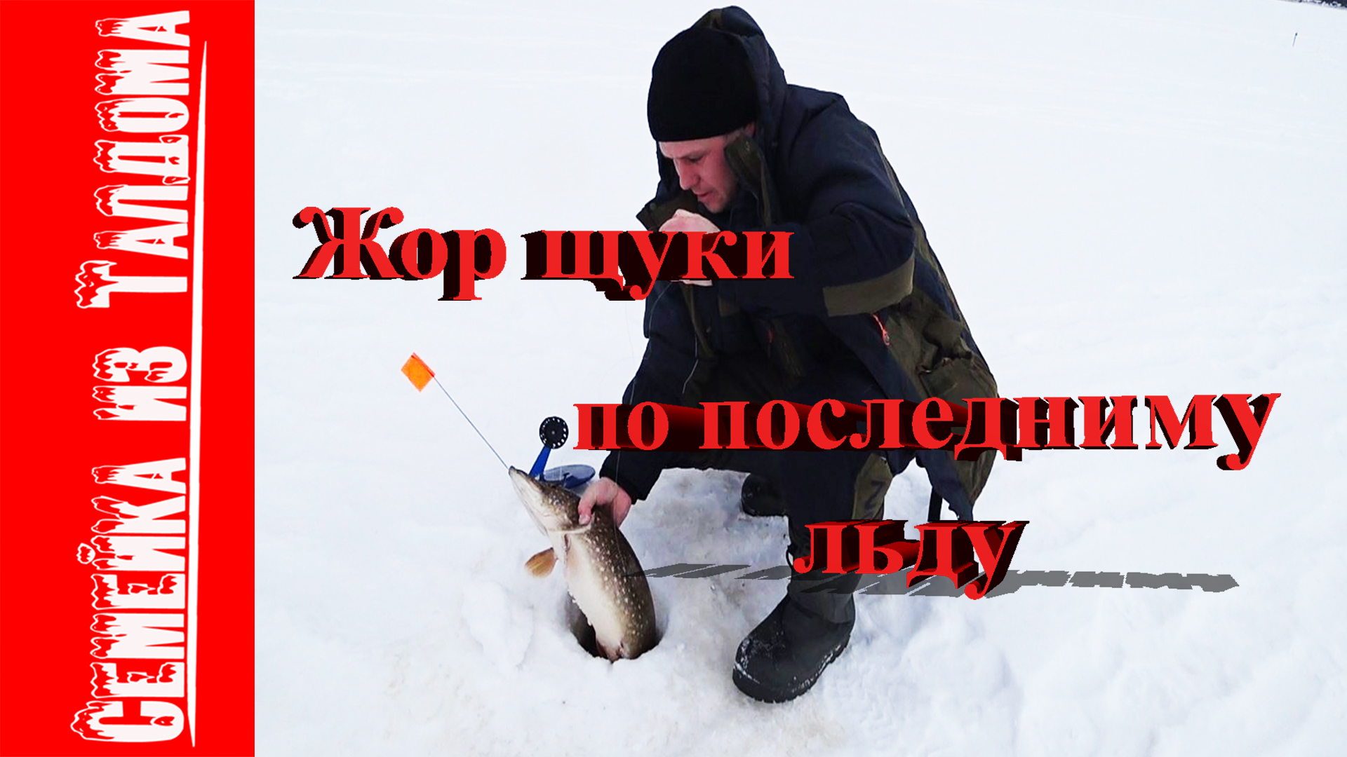 Жор щуки весной рыбинское водохранилище