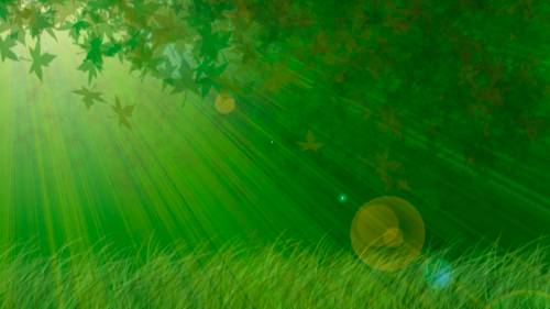 Adobe Photoshop. Практическая работа с кистями. (Рисуем зеленый лес)