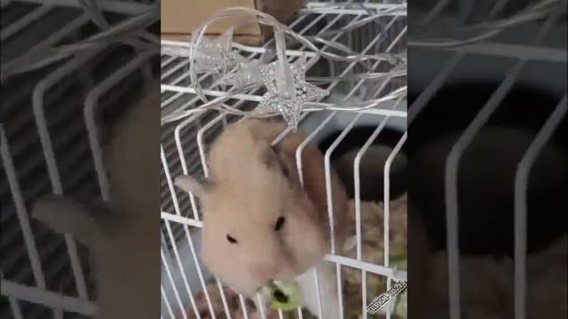 ot-zhadnosti4412323123123