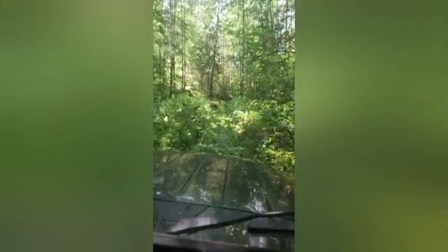 Пункт ГГС 3 класса Сурский район Ульяновской области